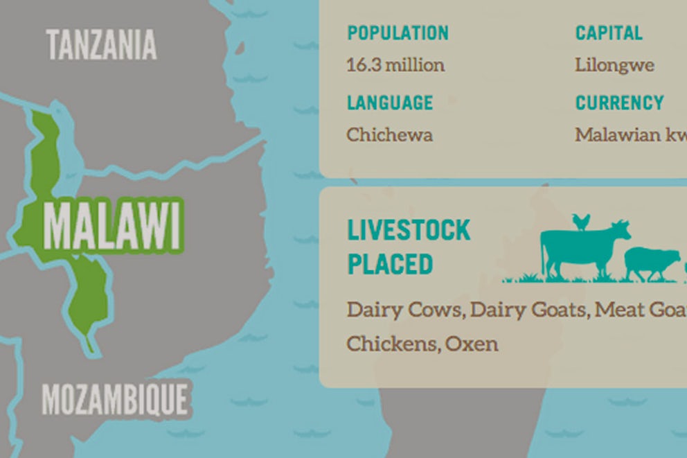 Malawi Experiencing Unprecedented Floods | Heifer International Malawi Experiencing Unprecedented Floods | Heifer International